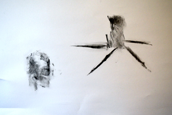 Red to Green: Steps to Observational Drawing