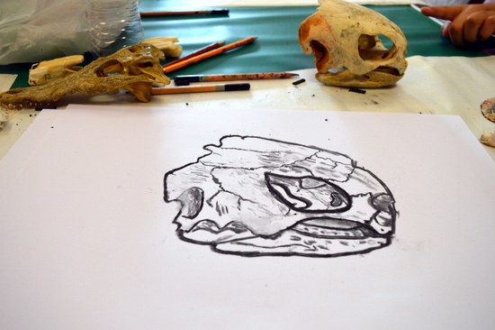 Red to Green: Steps to Observational Drawing
