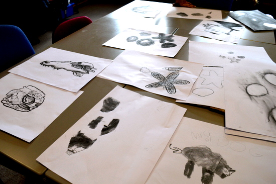 Red to Green: Steps to Observational Drawing