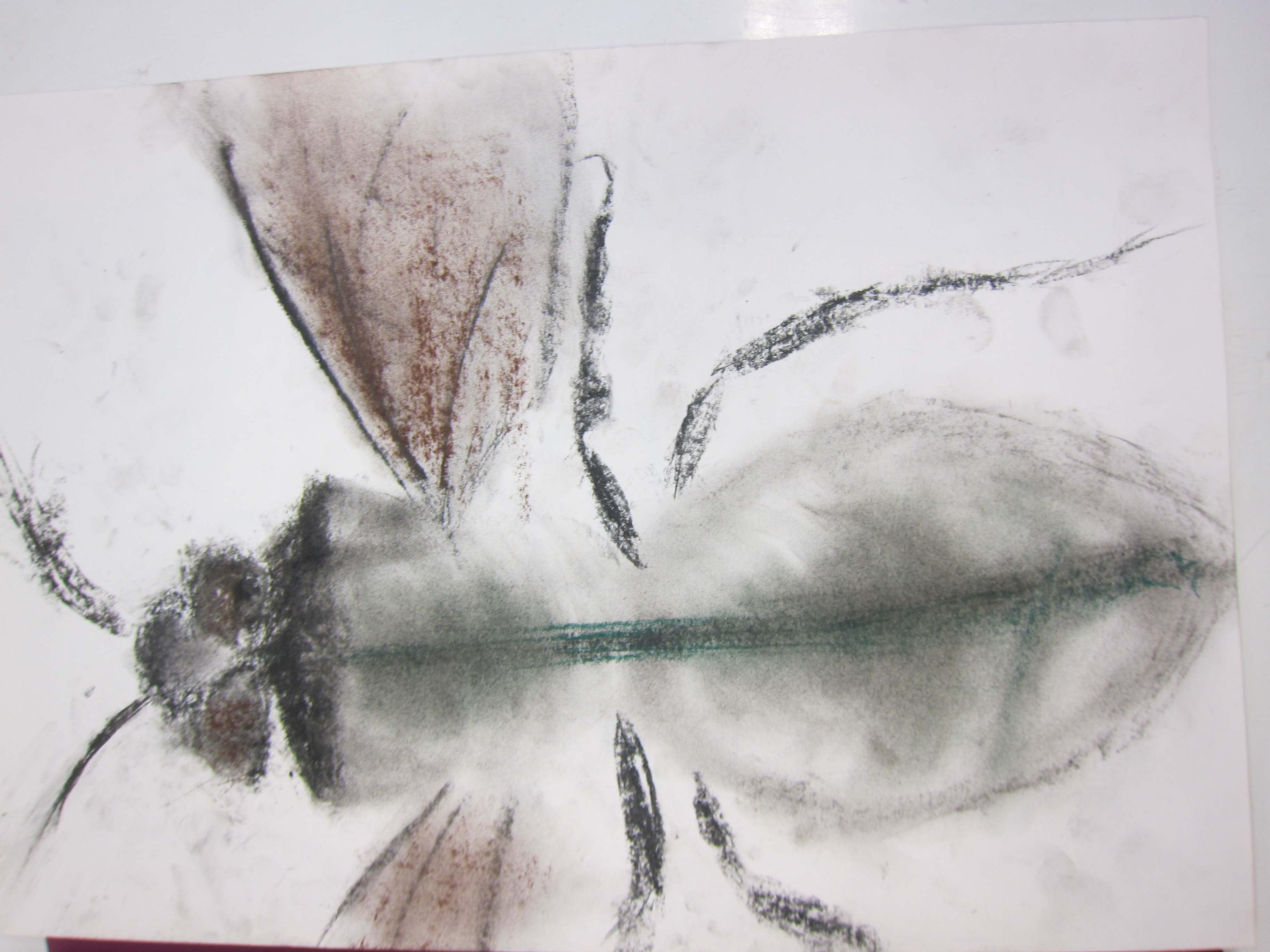 Drawing Minibeasts – using a continuous line, graphite and oil pastel