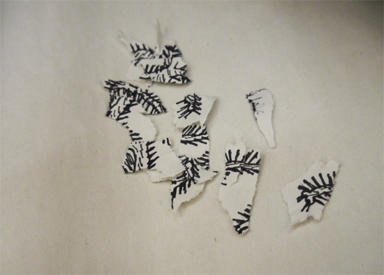 Drawings torn into pieces