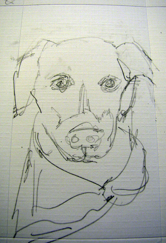 1000 Dogs Project by Kathryn Sjogren