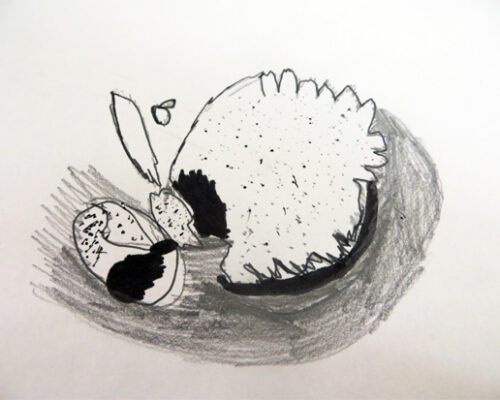 The AccessArt Drawing Journey for Children – Ages 9 – 11