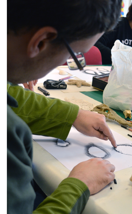 Red to Green: Steps to Observational Drawing