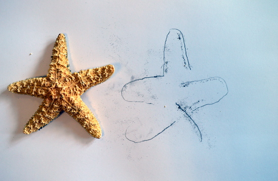 Red to Green: Steps to Observational Drawing