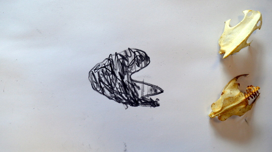 Red to Green: Steps to Observational Drawing
