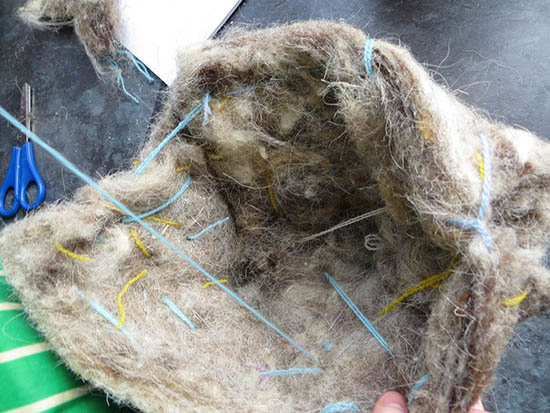 Perseverance, Determination and Inventiveness: Building Nests