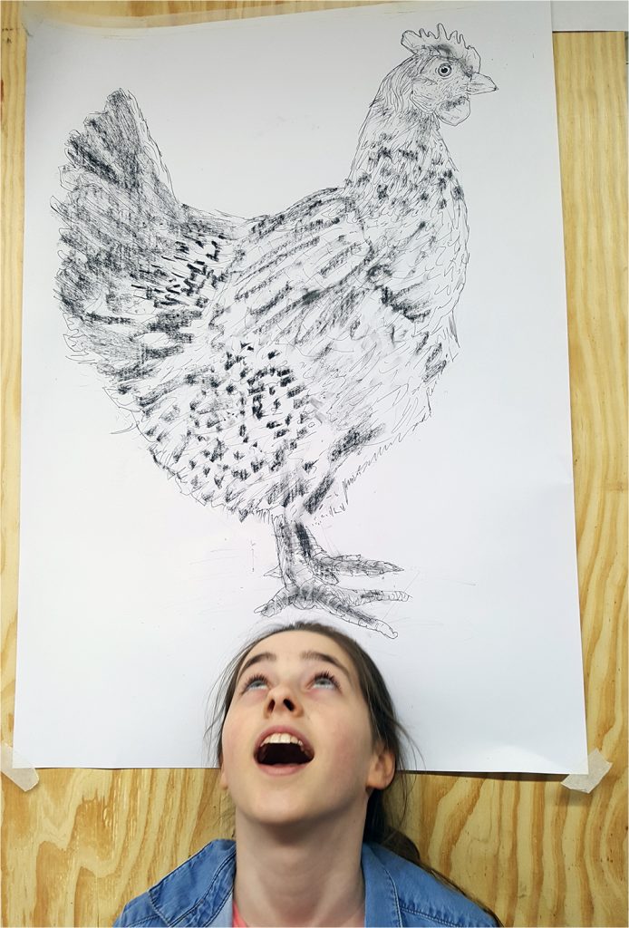 The Geometry of Chickens!