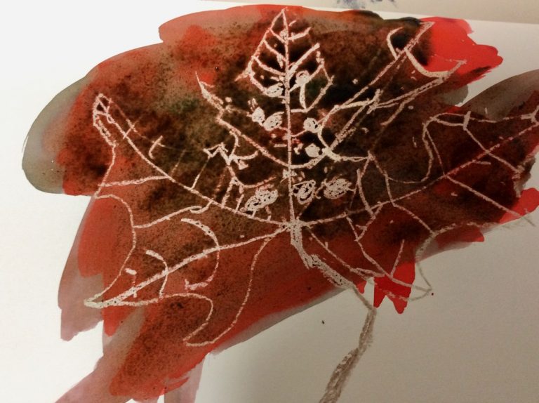 Pathway: Explore & Draw