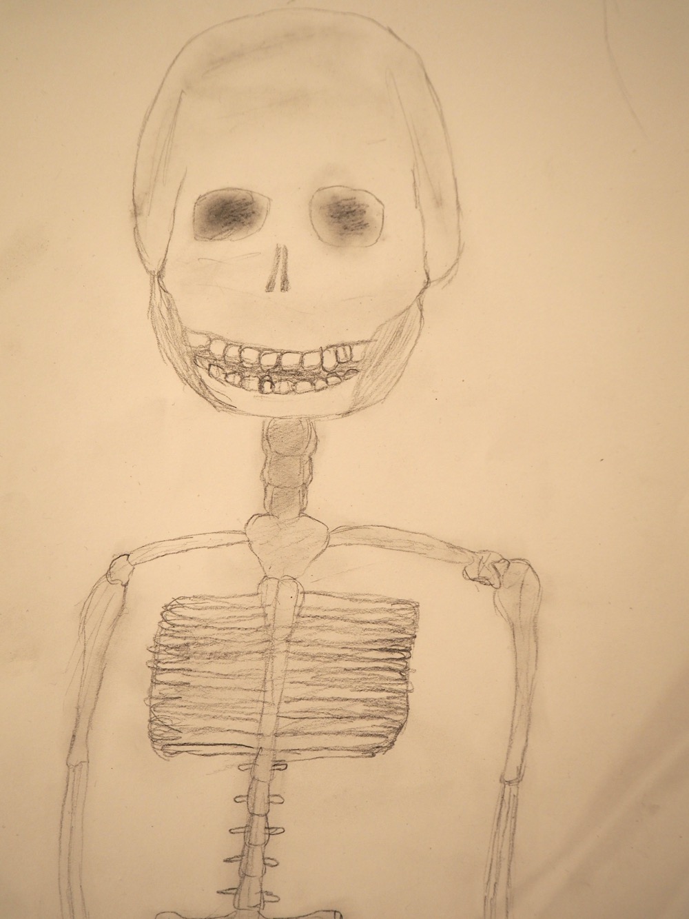 Beginning with Bones