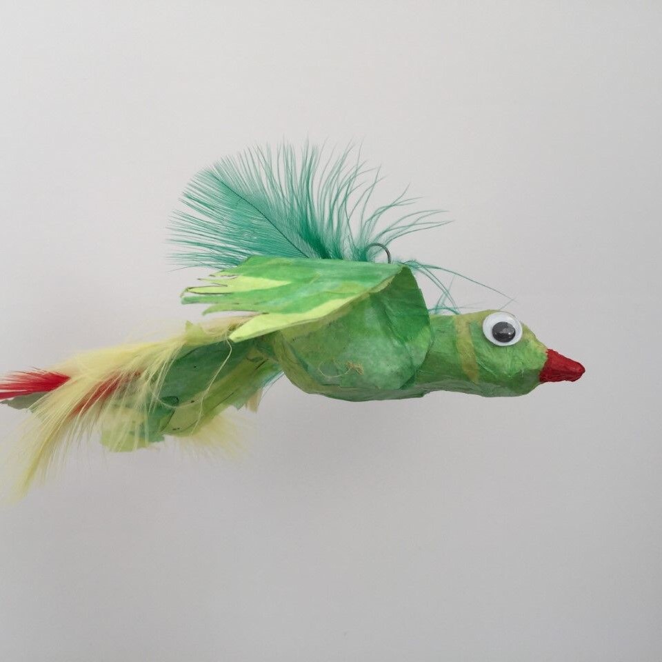 Visual Arts Planning: Making and Drawing Birds