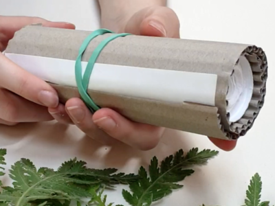 Teaching Art in Primary Schools