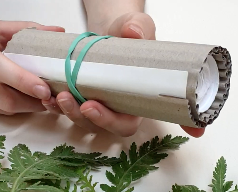 Making a Scroll Drawing