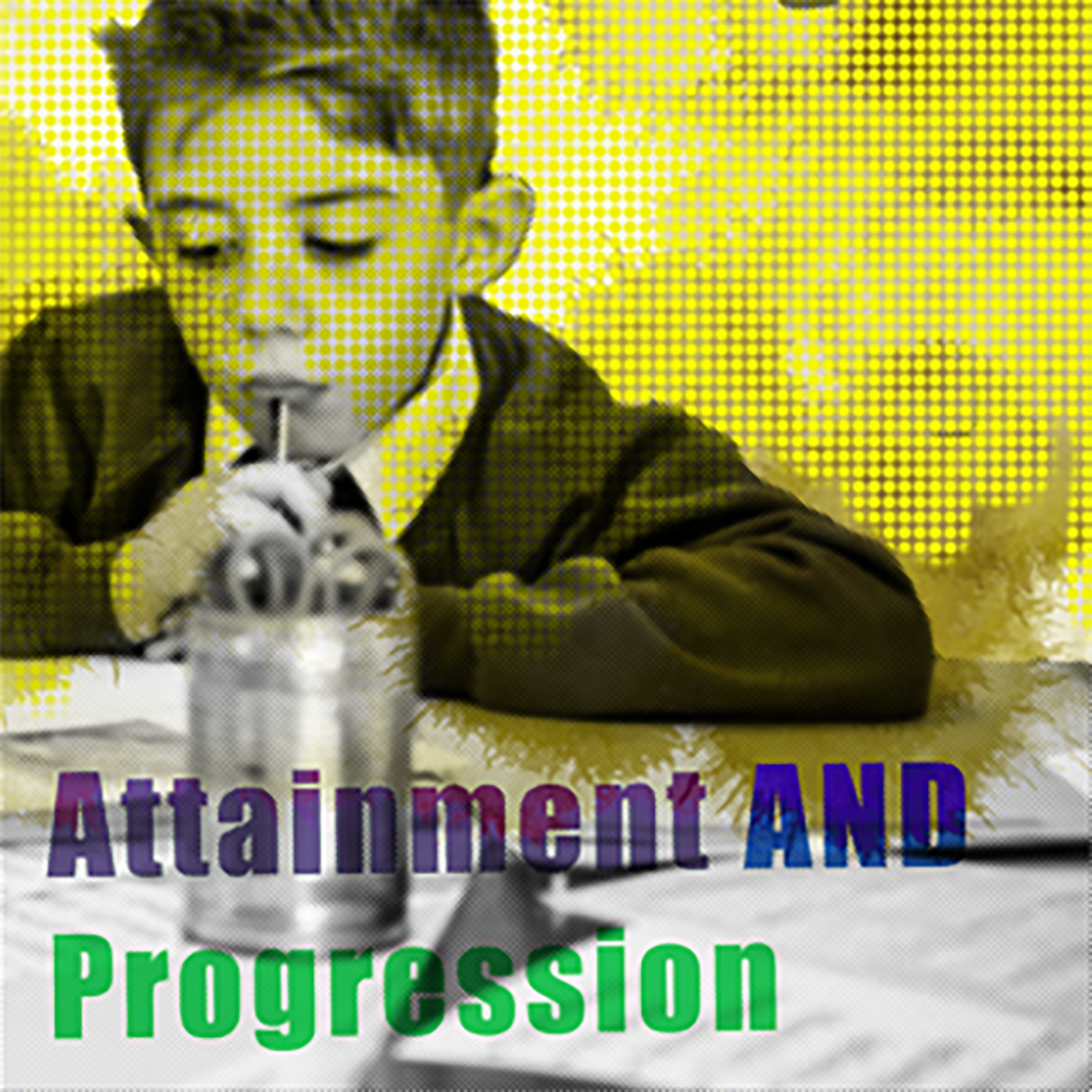 Performance & Progression in Primary Art & Design