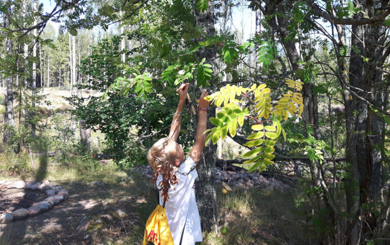Connecting With Nature Through Art