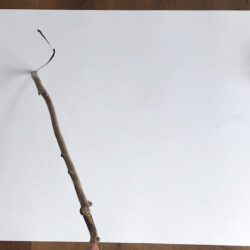 Drawing Exercises for DT Half-Term: Ages 7-9