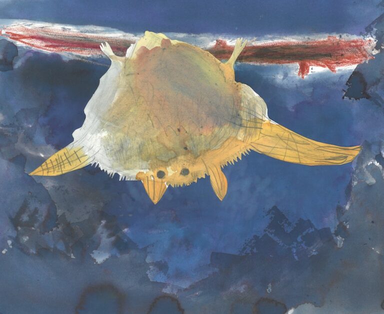 Visual Arts Planning: Animals and Wildlife