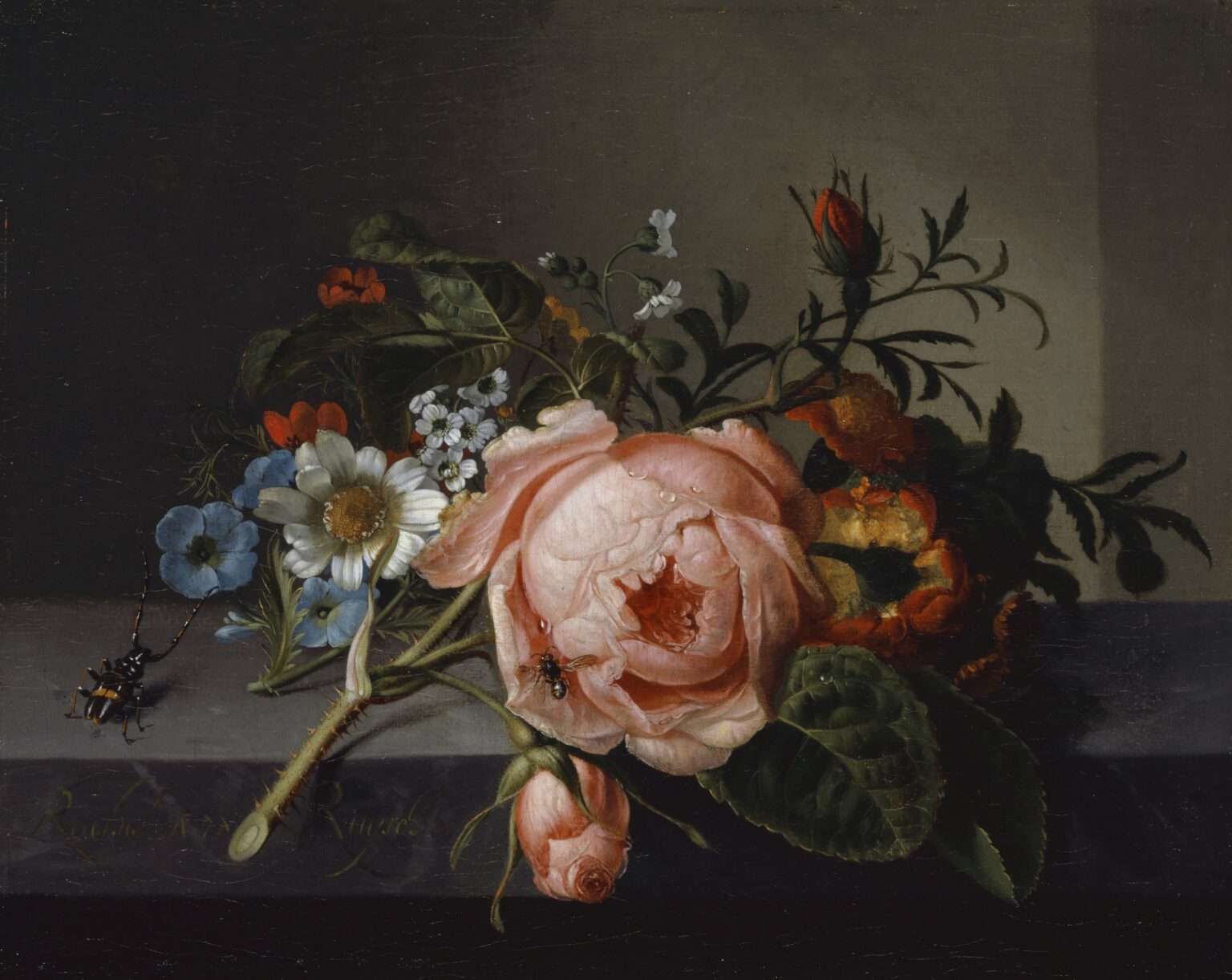 Talking Points: Flemish and Dutch Still Life Paintings