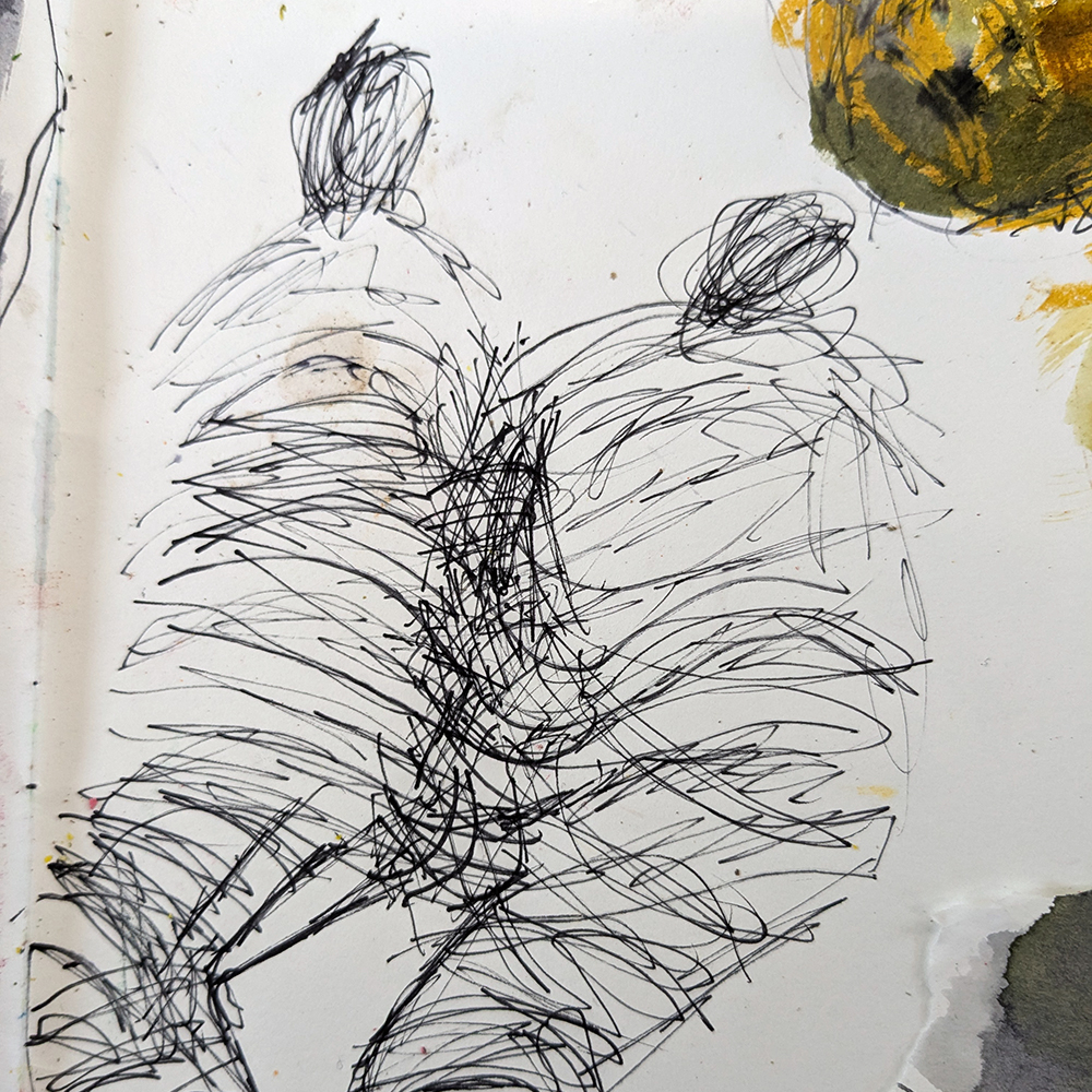 Pathway: Exploring Form Through Drawing