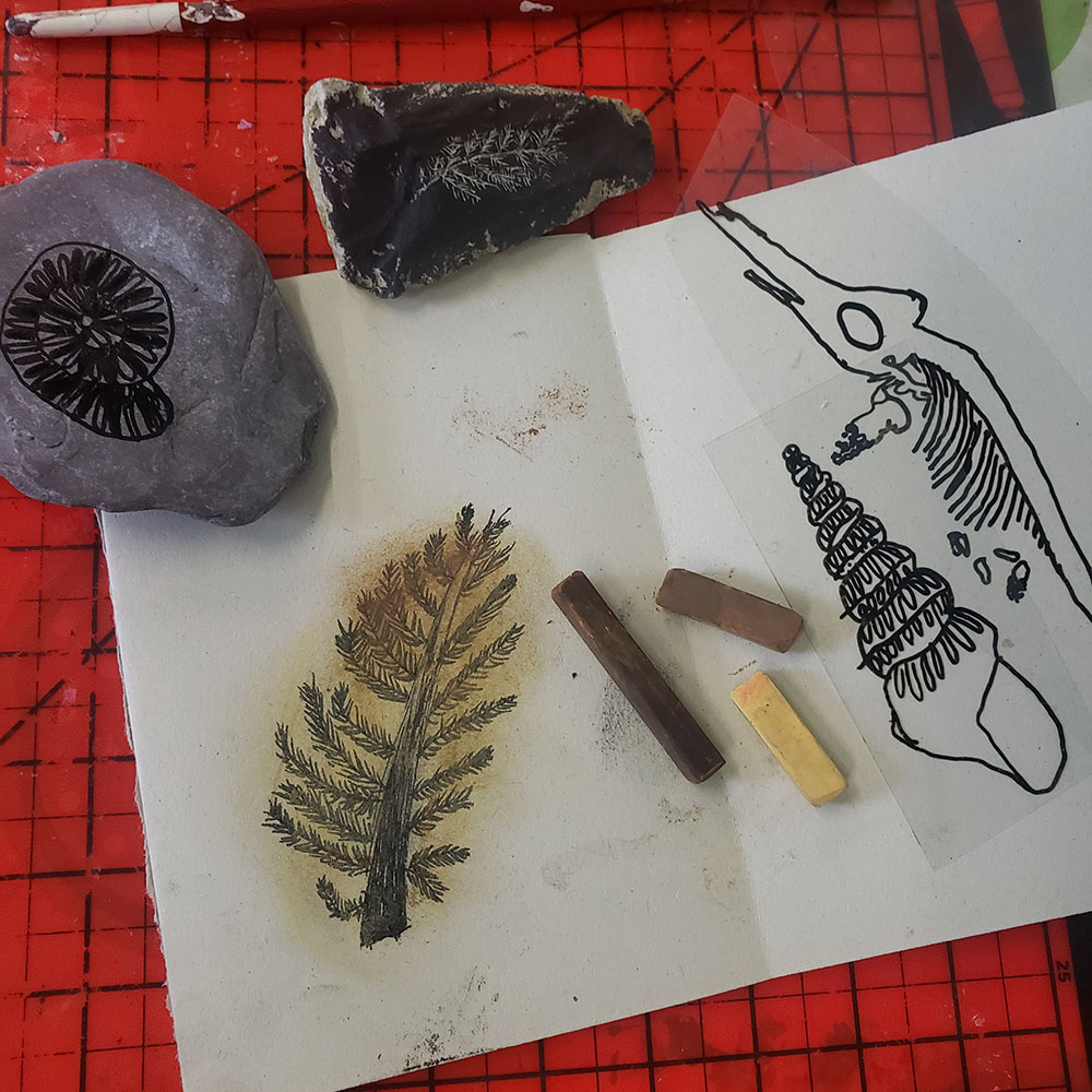 Drawing on Pebbles to Make Treasured Fossils
