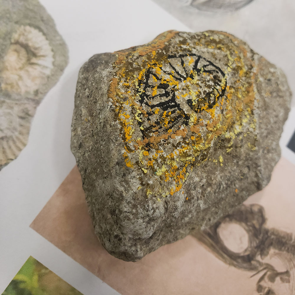 Drawing on Pebbles to Make Treasured Fossils